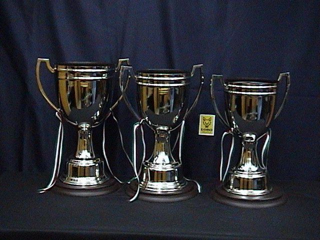 (CS-016) COPA ARO CON LISTONES